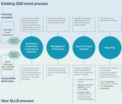 Towards greater synergies between Sustainability-Linked Loans and the ...