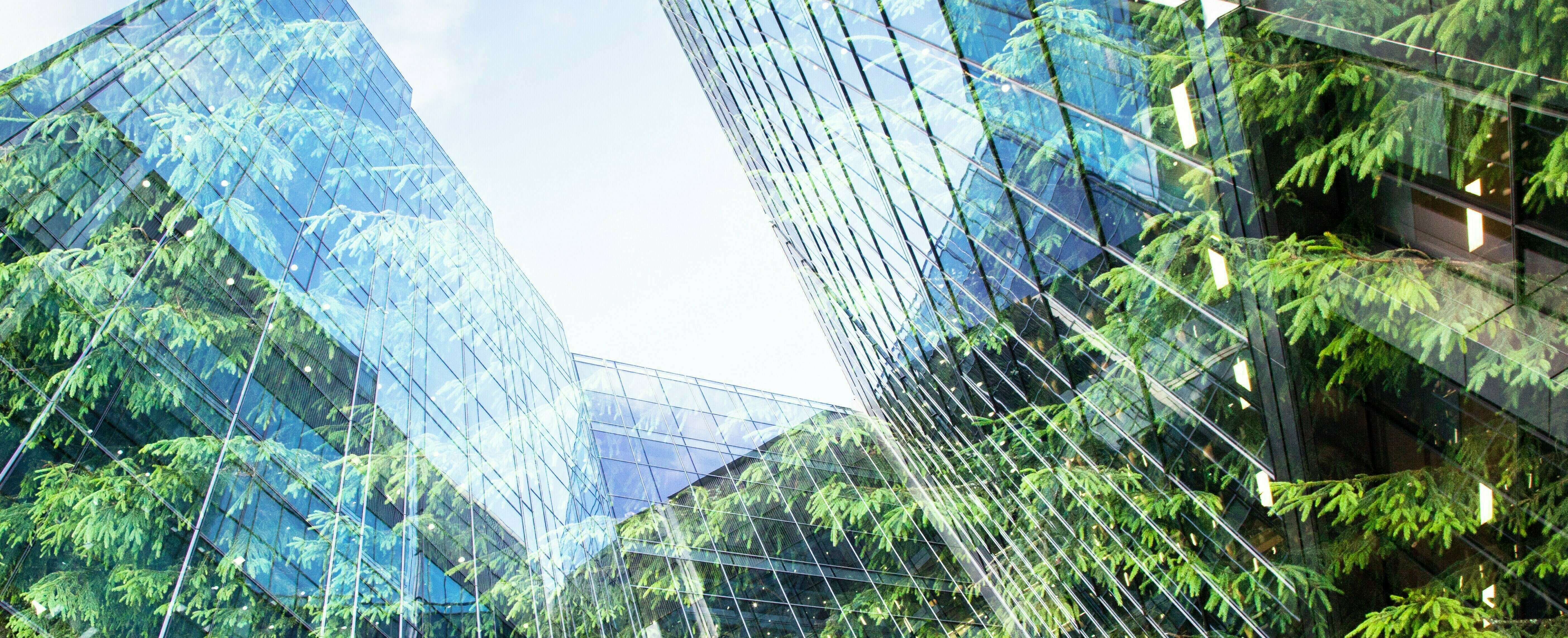 Successful launch of sustainability bond by BNG Bank! | Library