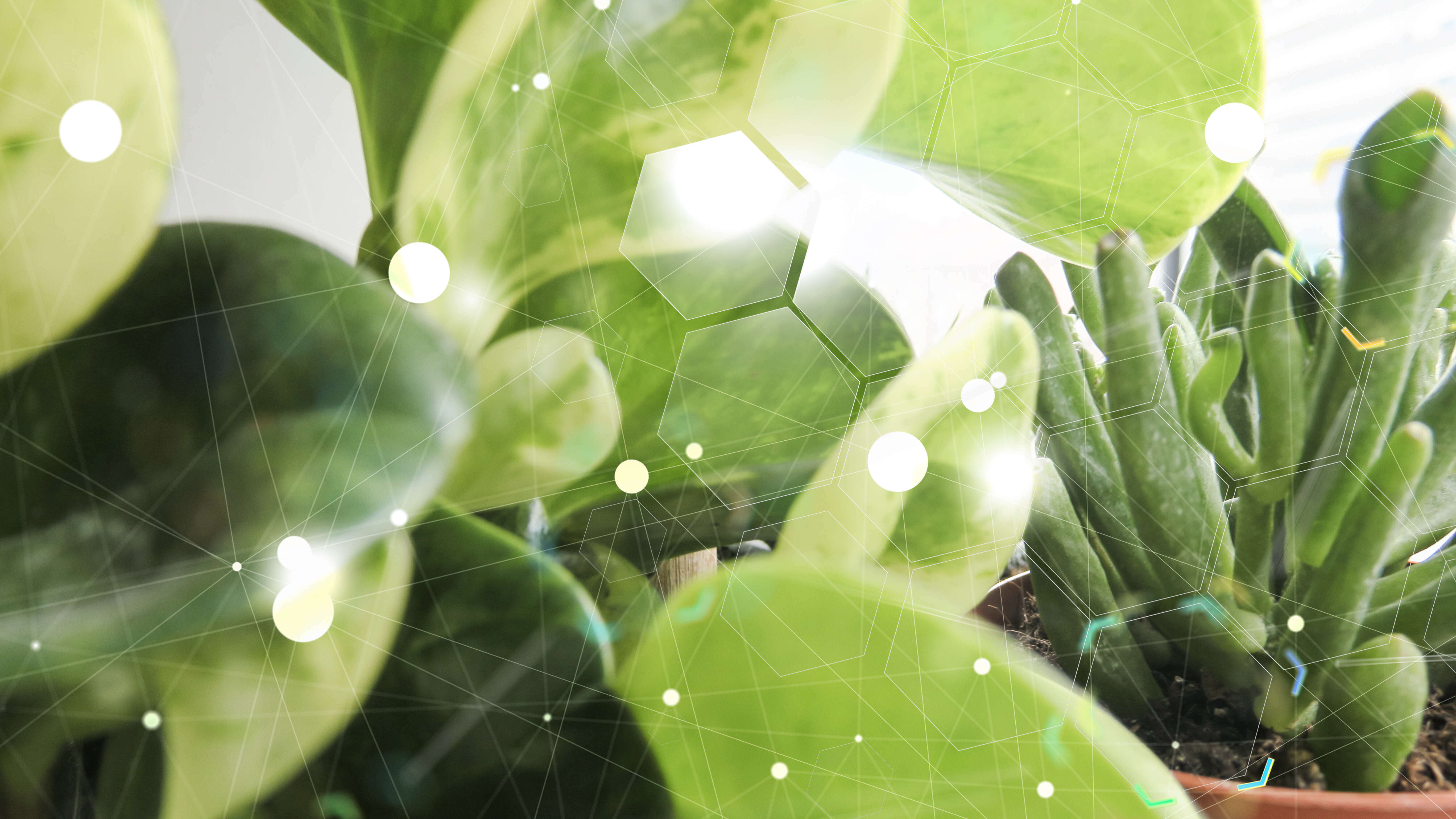 Dealmaking (R)evolution – AI, ESG and M&A | M&A Pulse in APAC - Articles